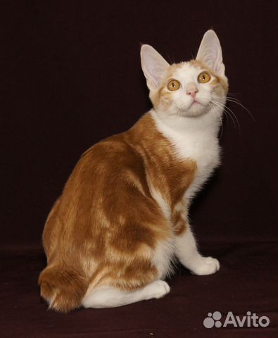 Ласковая малышка