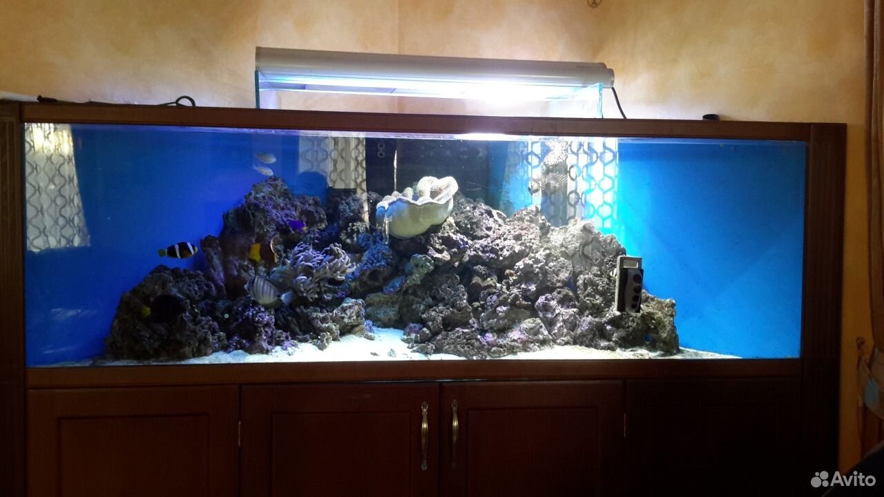 Продам морской аквариум