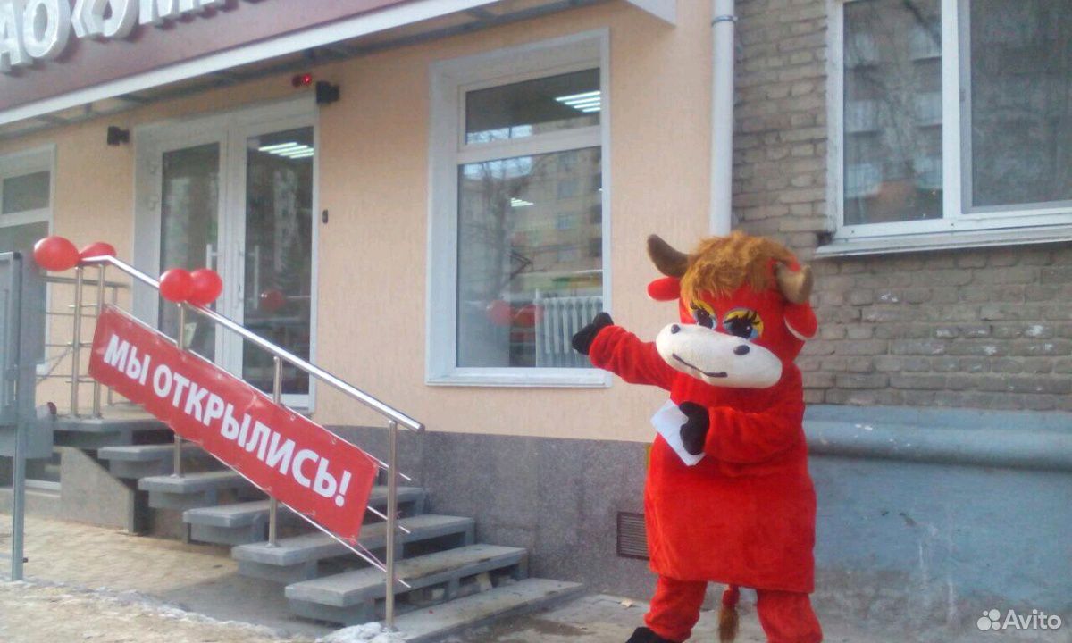 Овцы, бараны
