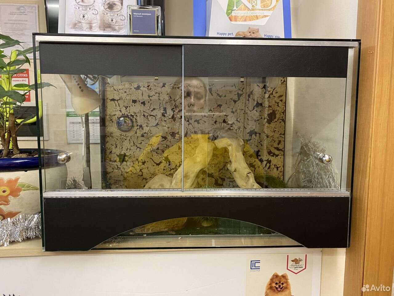Продам терариум 60/40 см