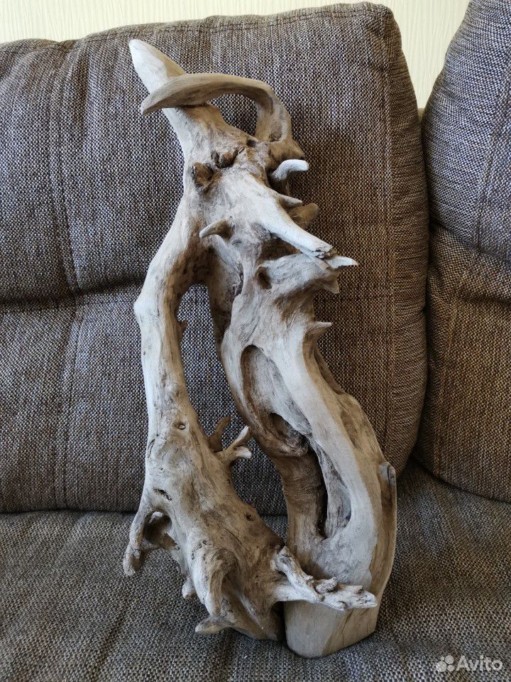 Шедевральная коряга Ива, 50 см