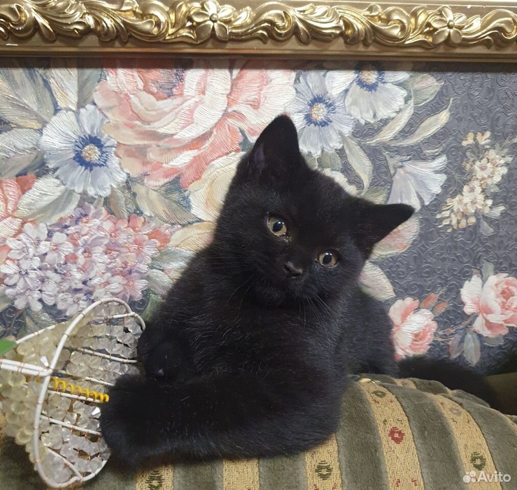 Мальчик ждет именно вас