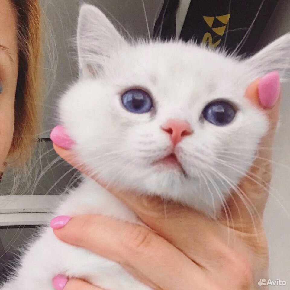 Прелестный малыш с яркими синими глазами