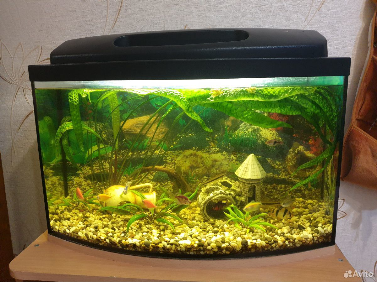 Аквариум 62л