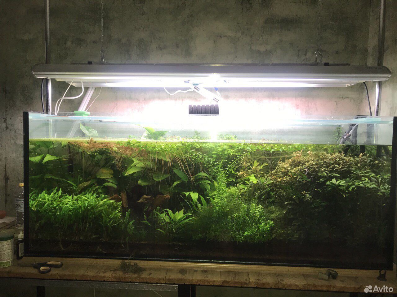 Аквариум