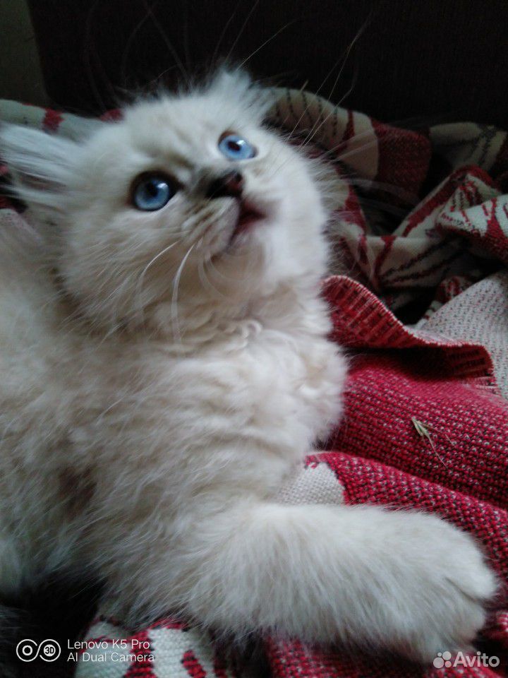 Невская маскарадная