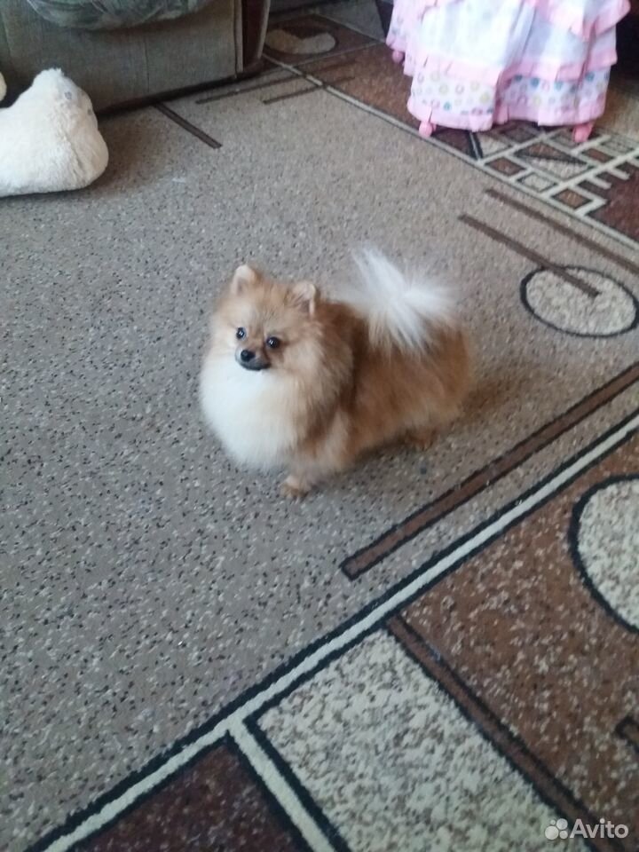 Девочка