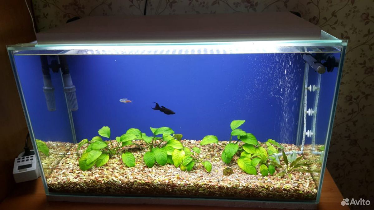 Аквариум-80л. + Комплект
