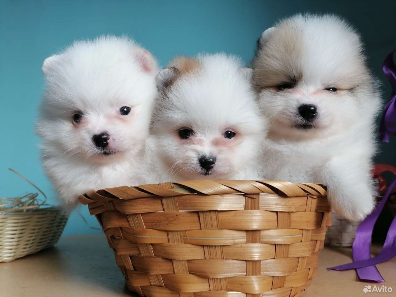 Мини эксклюзивчики