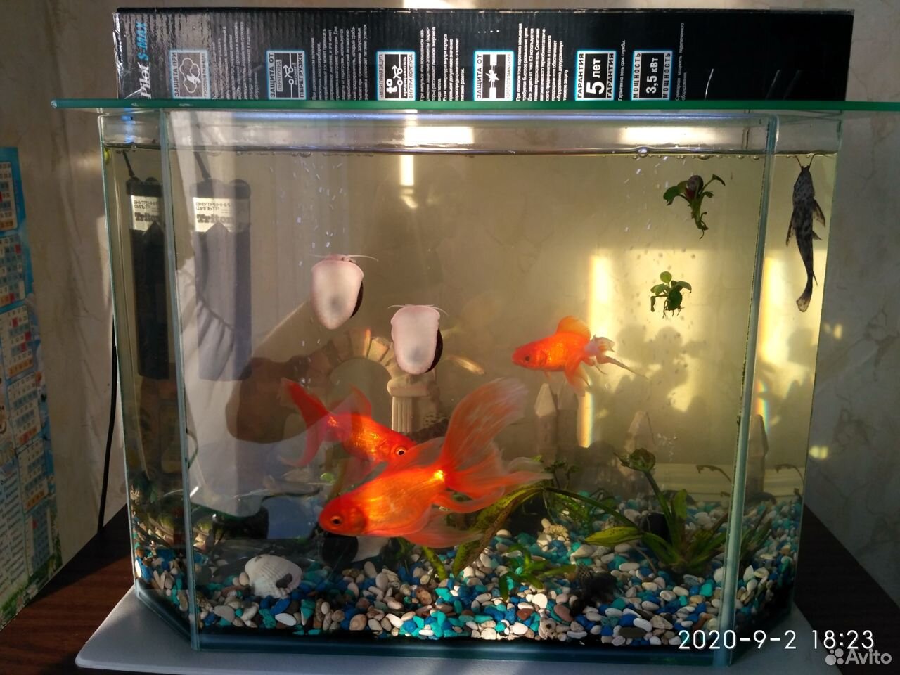 Аквариум