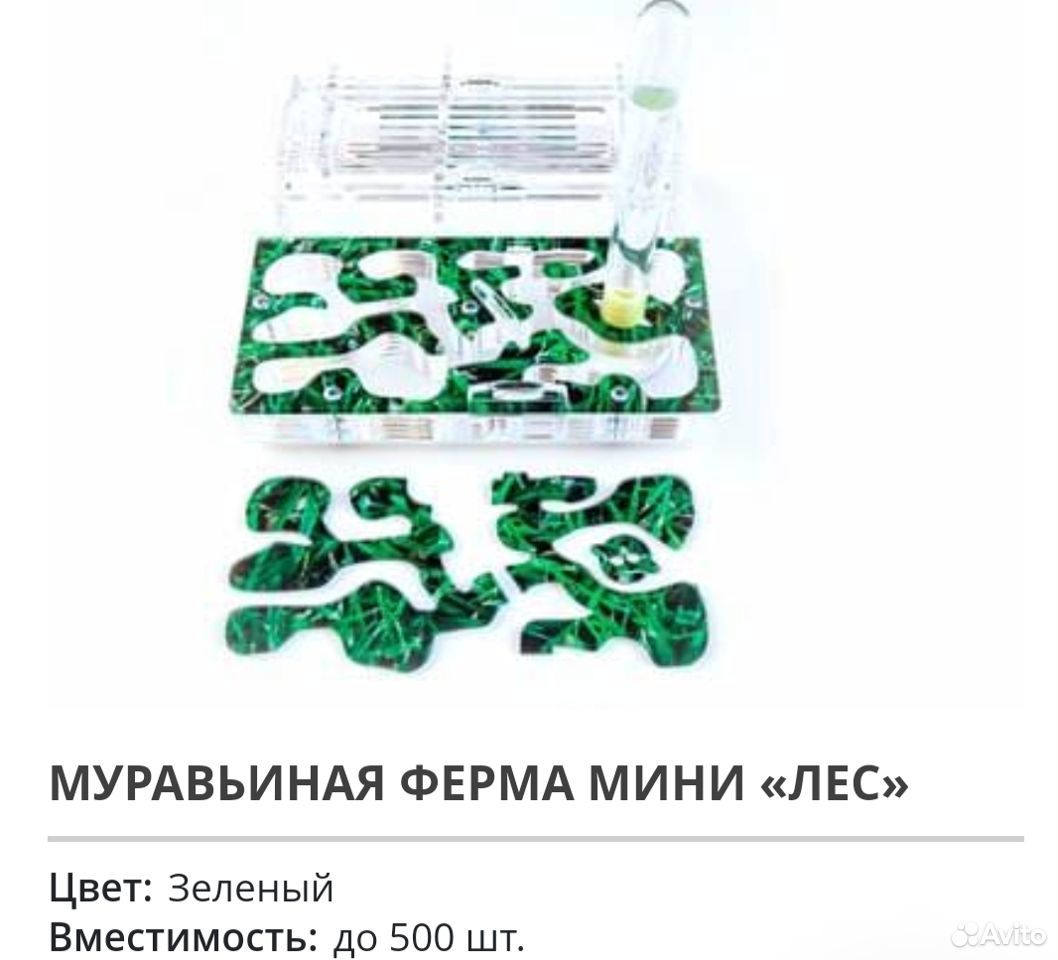 Муравьиная ферма