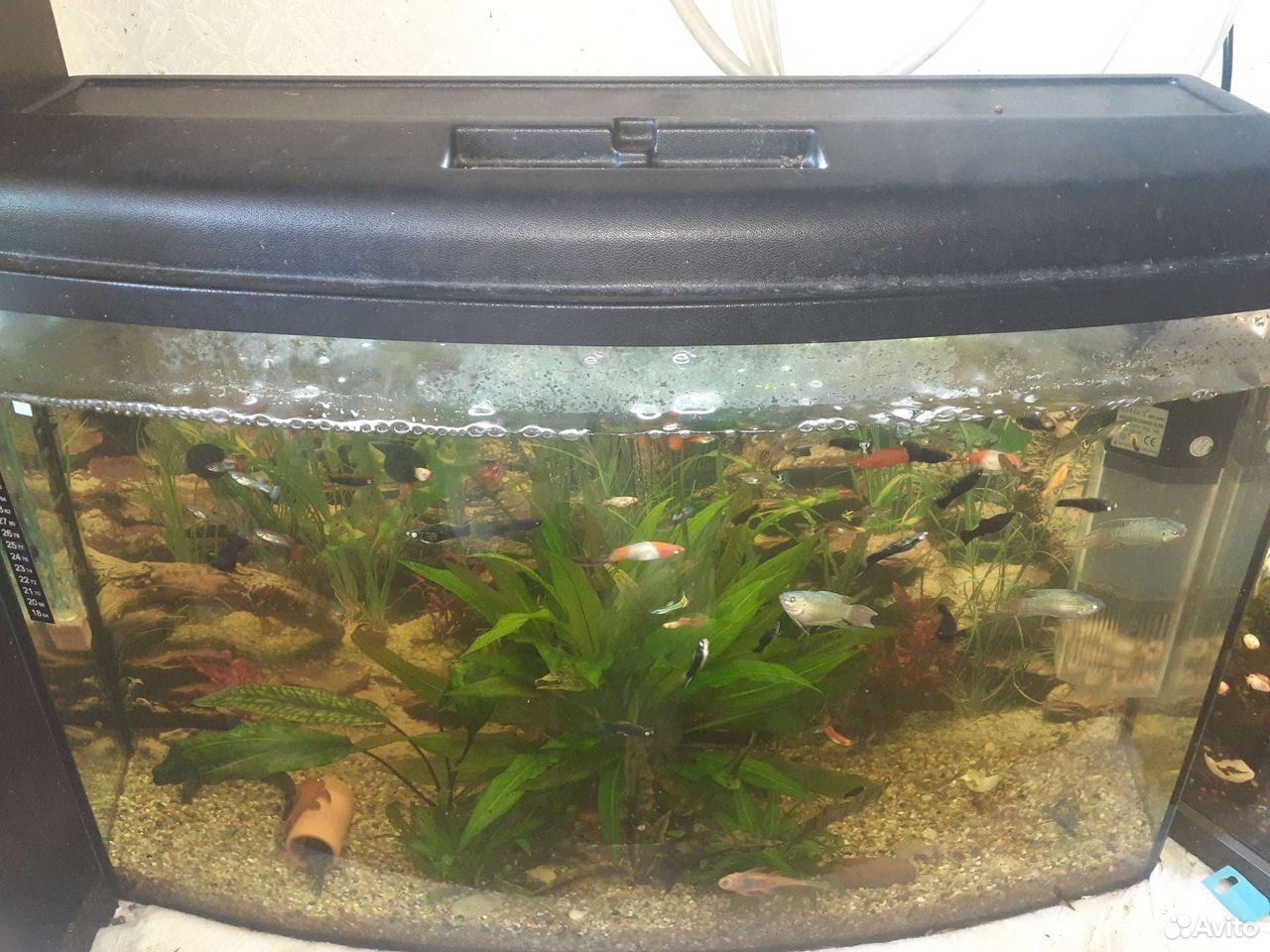 Аквариум 85 литров