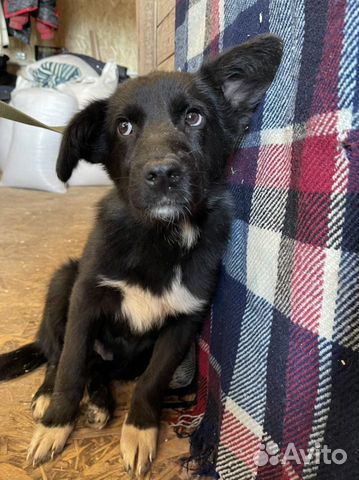 Красавчик Джон станет вашим другом