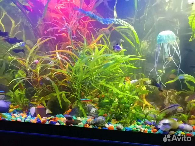 Украшения для аквариума