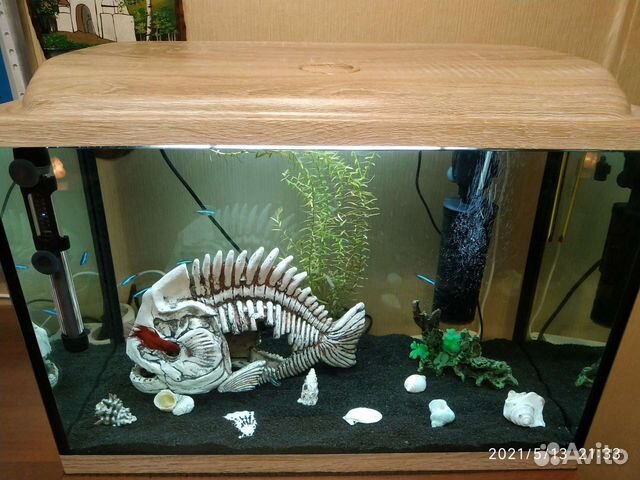 Аквариум со всеми приборами