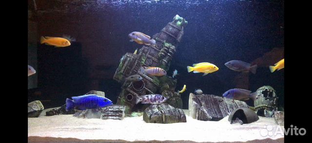 Аквариум 330л с тумбой и оборудованием