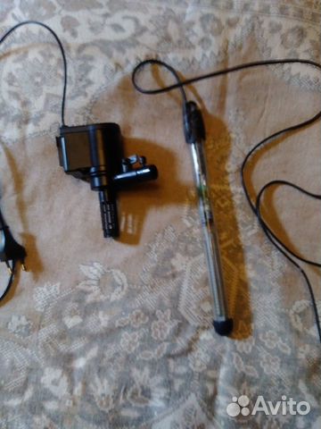 Аквариумистика