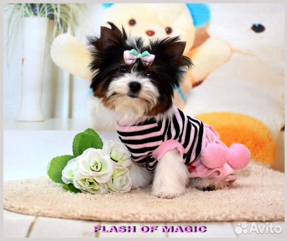 Кукла кукольная Тилли