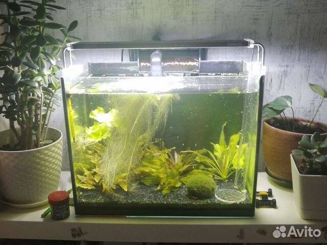 Аквариум 32 литра