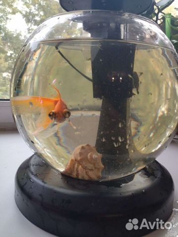 Миниаквариум Tetra Cascade Globe