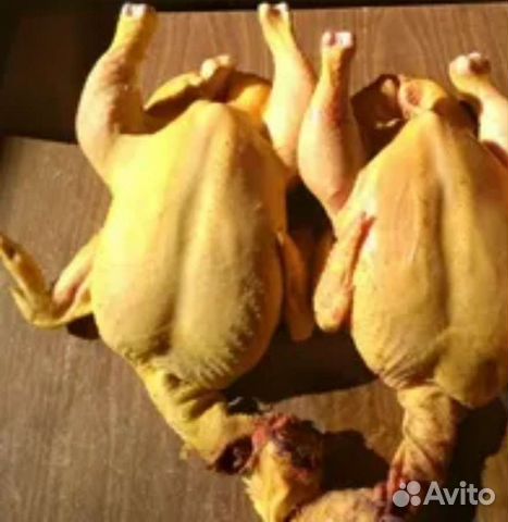 Куры бройлеры (домашние)