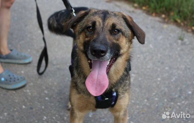 Подросток ищет семью, верных и преданных друзей