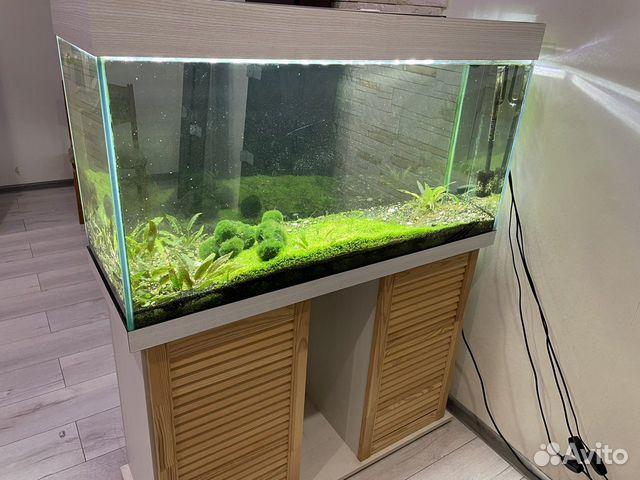 Аквариум 240 литров