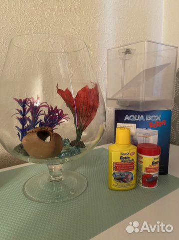 Набор для рыбки петушка