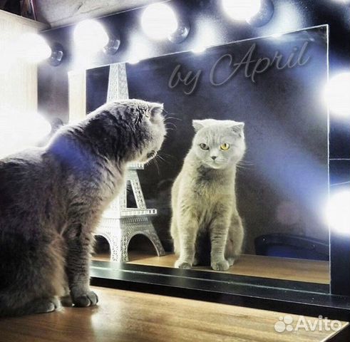 Британская