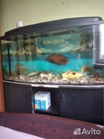 Аквариум 250л