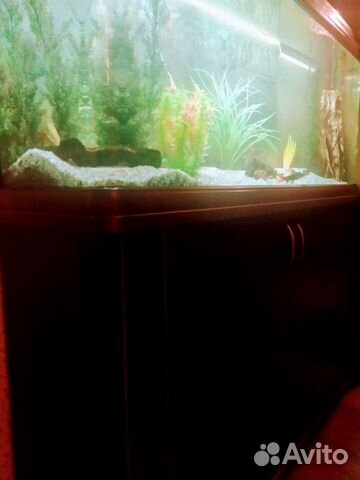 Аквариум