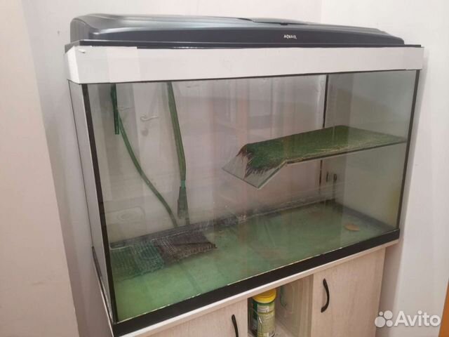 Террариум 300 литров для черепахи