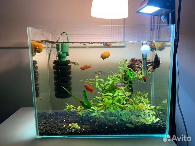 Аквариум 20 литров