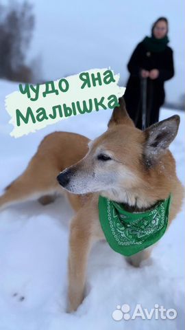 Спасите Малышку Яну из приюта