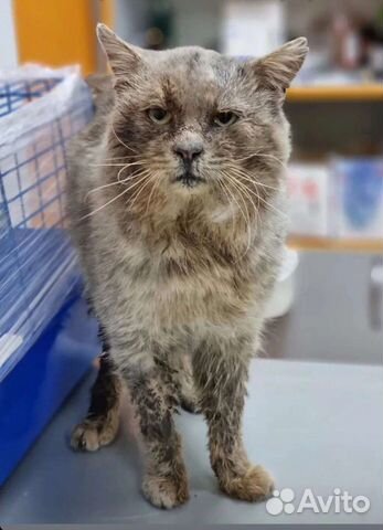 Заберите меня домой