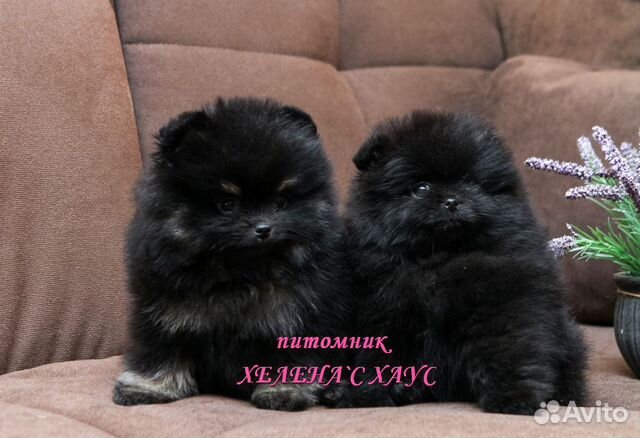 Красивые девочки