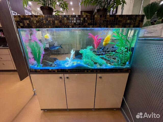 Аквариум с тумбой бу
