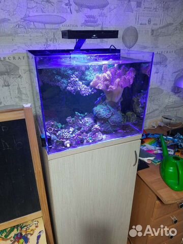 Морской аквариум