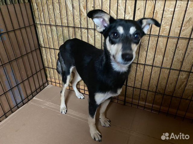 Зина из приюта ищет дом