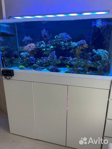 Морской аквариум