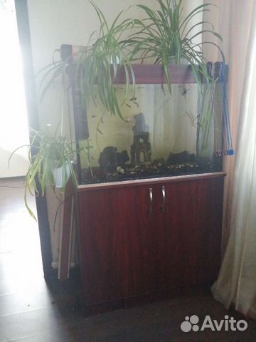 Аквариум с тумбой на 200л