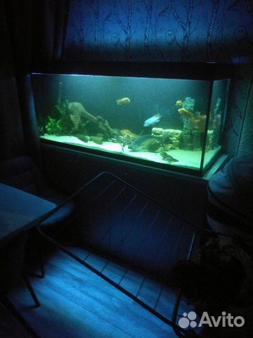 Аквариум 500 литров