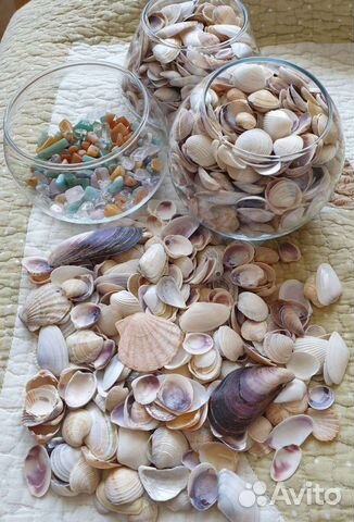 Морская ракушка Крым, камешки натуральные