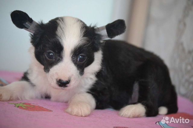 Пуховая девочка