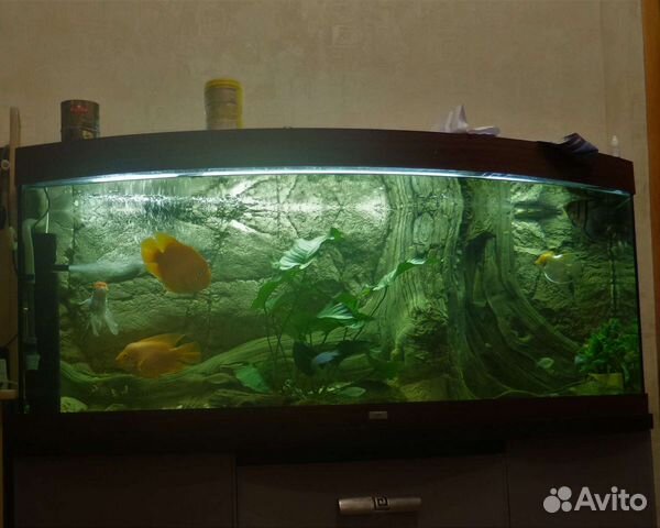 Аквариум с тумбой 500 литров