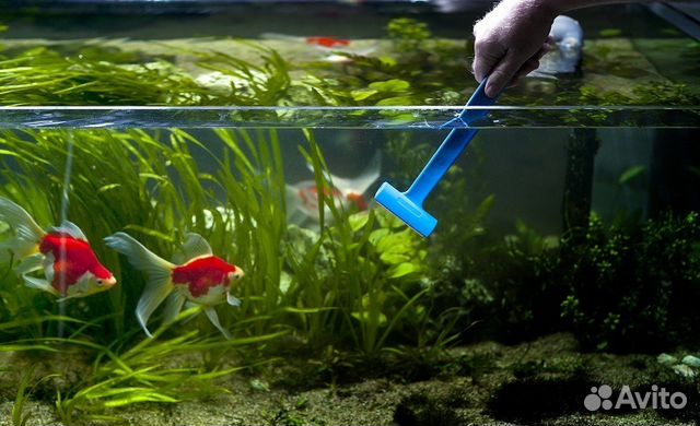 Обслуживание и чистка аквариумов