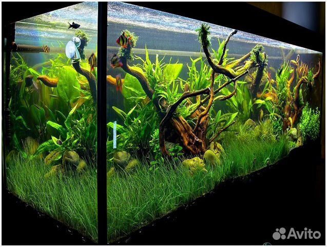 В связи с переездом продам б/у аквариумы
