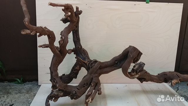 Коряги для аквариума, террариума