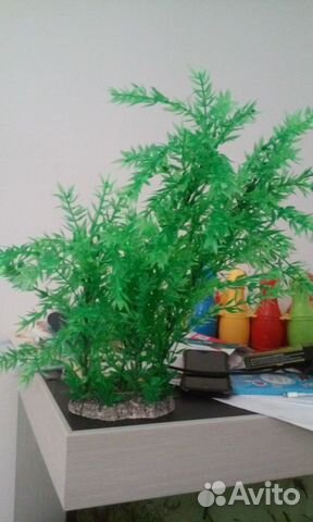Растение водоросли искусственные