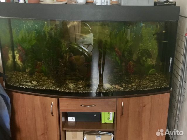 Аквариум с тумбой 350 литров